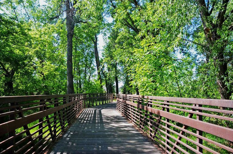 23 Best & Fun Things To Do in Fort Collins (CO) - The Tourist Checklist
