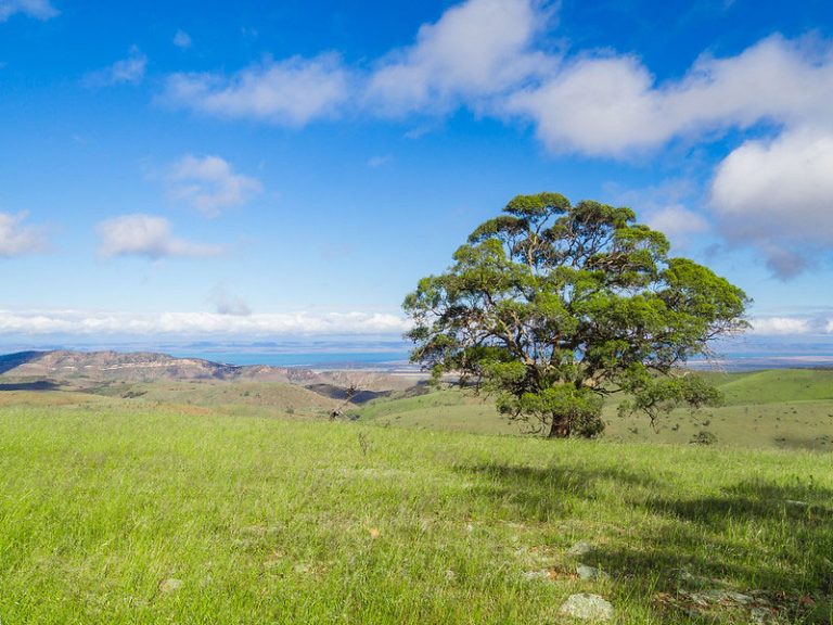 23 Best & Fun Things To Do in Lampasas (TX) - The Tourist Checklist