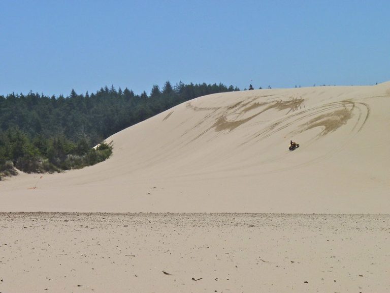 23 Best & Fun Things To Do in Reedsport (Oregon) - The Tourist Checklist