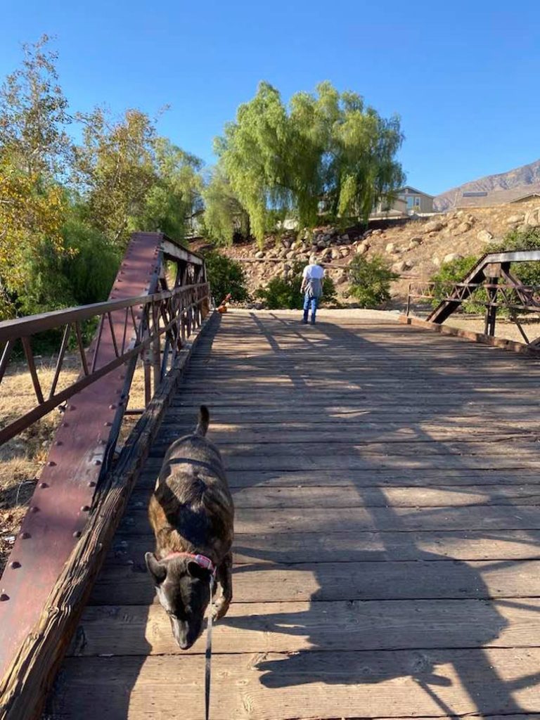 23 Best & Fun Things To Do in Highland (CA) - The Tourist Checklist