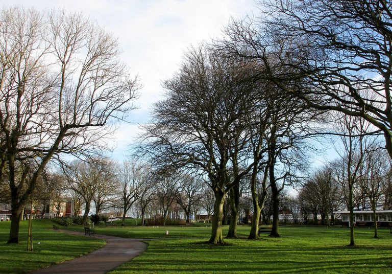 23 Best & Fun Things To Do in Bothel (WA) - The Tourist Checklist