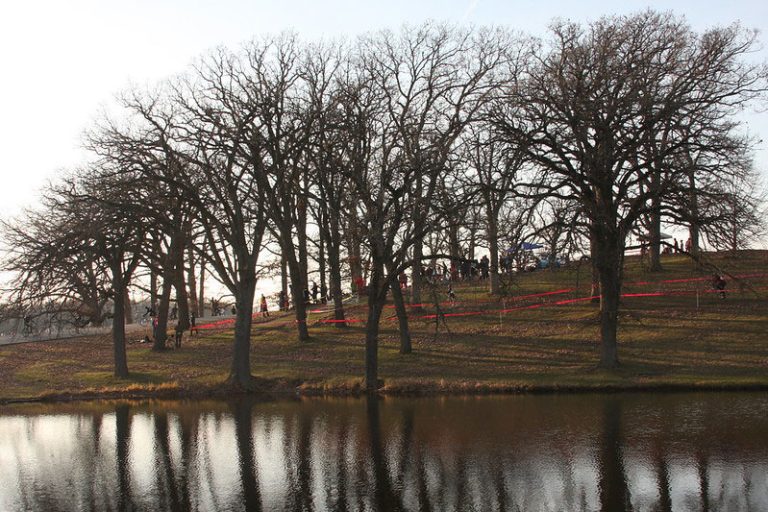 23 Best & Fun Things To Do in Woodstock (IL) - The Tourist Checklist