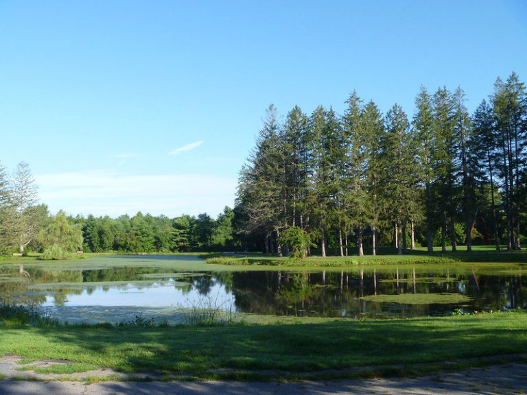 23 Best & Fun Things To Do in Garner (NC) - The Tourist Checklist