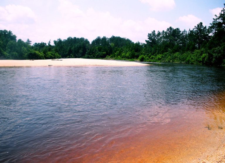 23 Best & Fun Things To Do in Atmore (AL) - The Tourist Checklist
