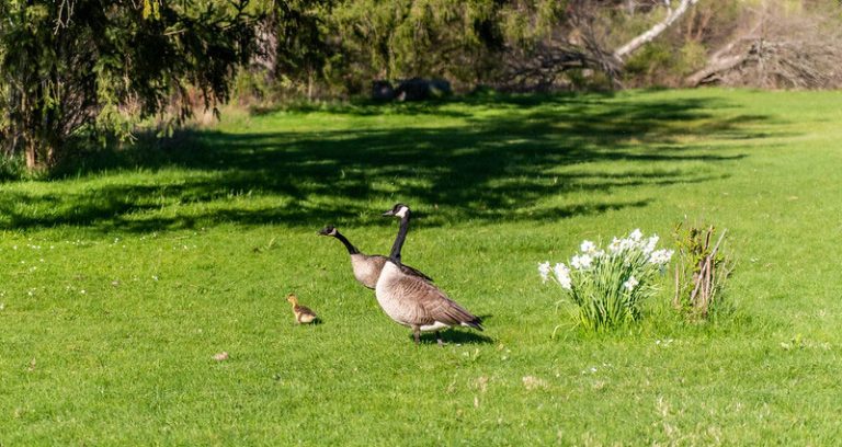 23 Best & Fun Things To Do in Portage (MI) - The Tourist Checklist