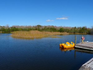 23 Best & Fun Things To Do in Viera (FL) - The Tourist Checklist