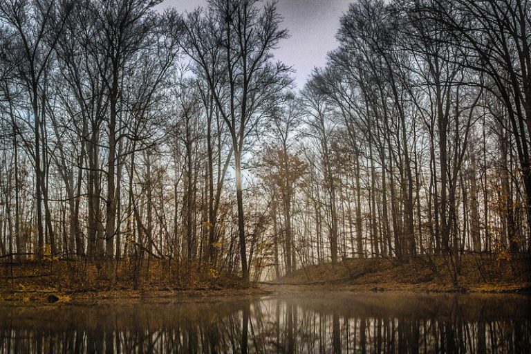 23 Best & Fun Things To Do in Avon (Indiana) - The Tourist Checklist