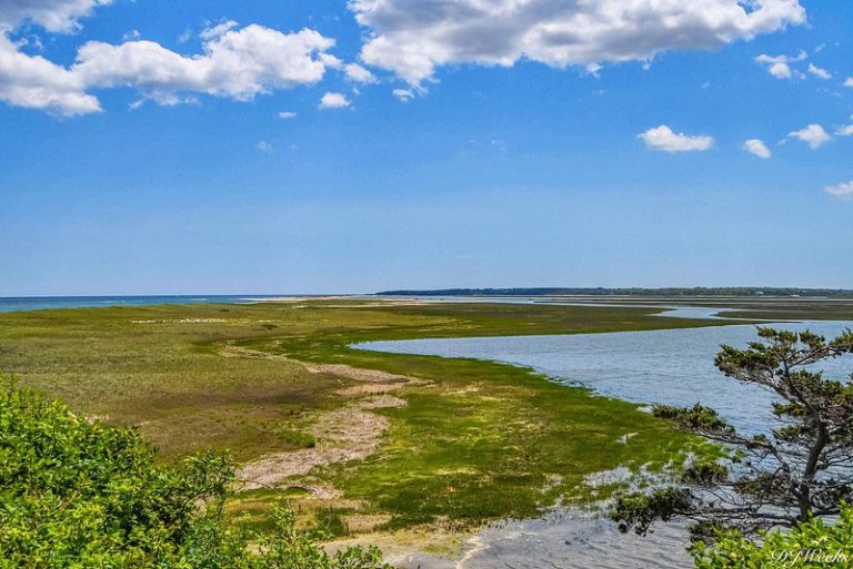 25 Best & Fun Things To Do In Eastham (MA) - The Tourist Checklist