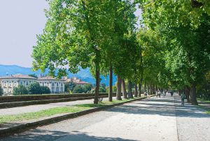 25 Best & Fun Things To Do In Lucca (Italy) - The Tourist Checklist