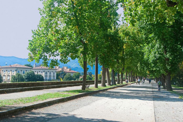 25 Best & Fun Things To Do In Lucca (Italy) - The Tourist Checklist