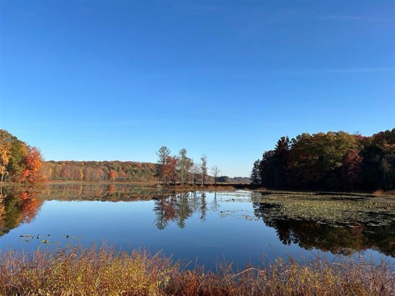 25 Best & Fun Things To Do In Meadville (PA) - The Tourist Checklist