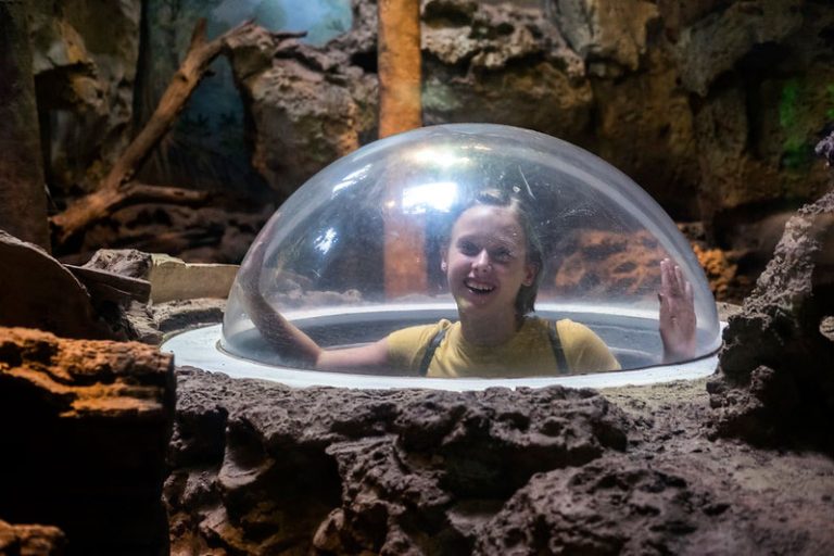 25 Best & Fun Things To Do In Greensboro (NC) - The Tourist Checklist