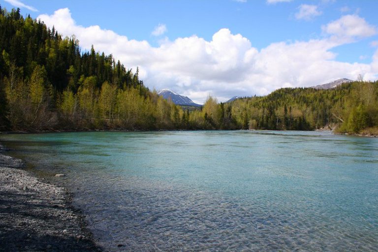 25 Best & Fun Things To Do In Soldotna (AK) - The Tourist Checklist