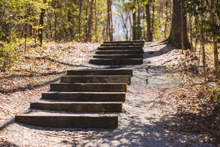 25 Best & Fun Things To Do In Pearl (MS) - The Tourist Checklist