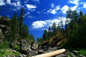 25 Best & Fun Things To Do In Post Falls (Idaho) - The Tourist Checklist