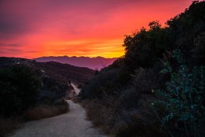 25 Best & Fun Things To Do In Topanga (CA) - The Tourist Checklist