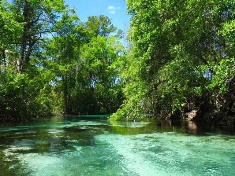 23 Best & Fun Things To Do in Pasco County (FL) - The Tourist Checklist