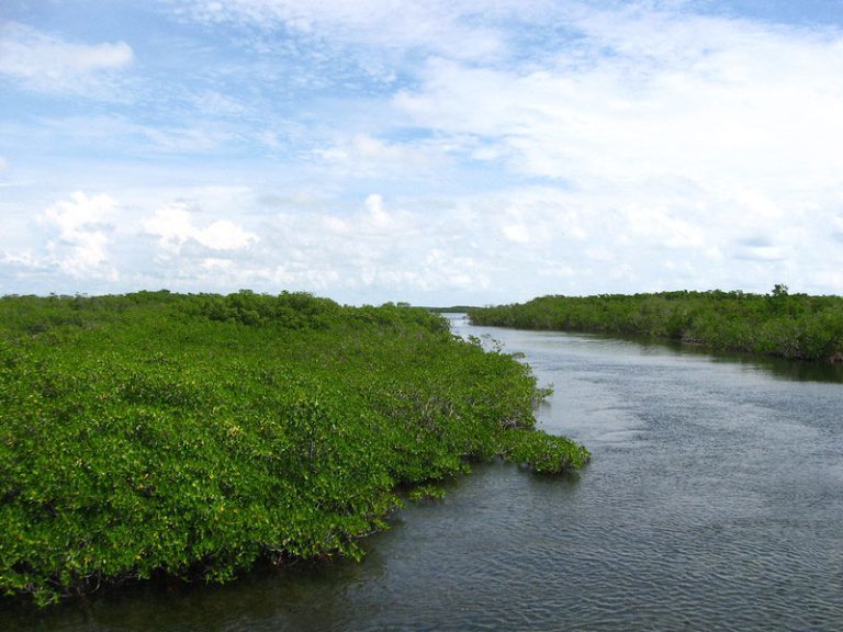 25 Best & Fun Things To Do In Key Largo (FL) - The Tourist Checklist