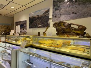 25 Best & Fun Things To Do In Morrison (CO) - The Tourist Checklist