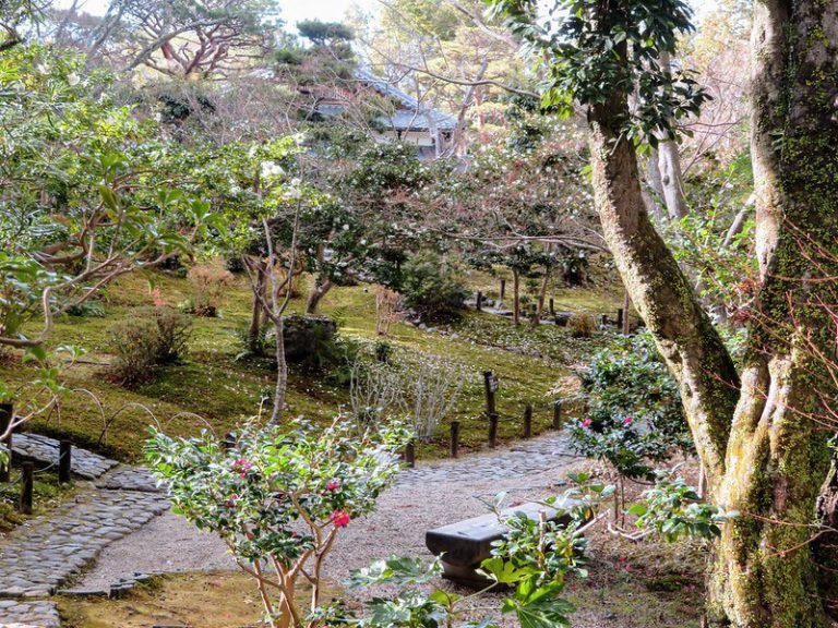 25 Best & Fun Things To Do In Nara (Japan) - The Tourist Checklist