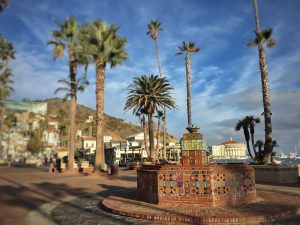 25 Best & Fun Things To Do In Santa Catalina Island (CA) - The Tourist ...