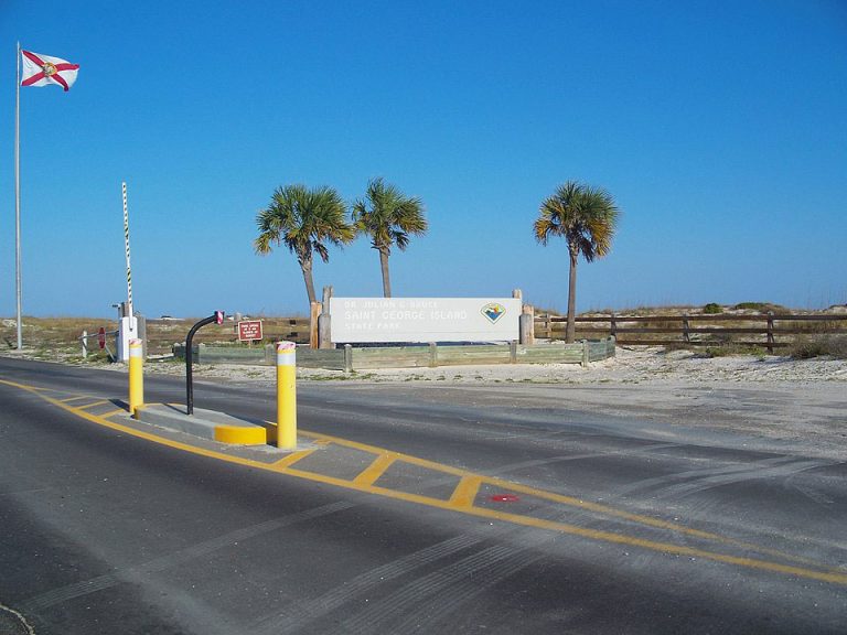 25 Best & Fun Things To Do In St George Island (AK) - The Tourist Checklist