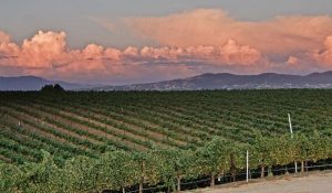 25 Best & Fun Things To Do In Temecula (CA) - The Tourist Checklist