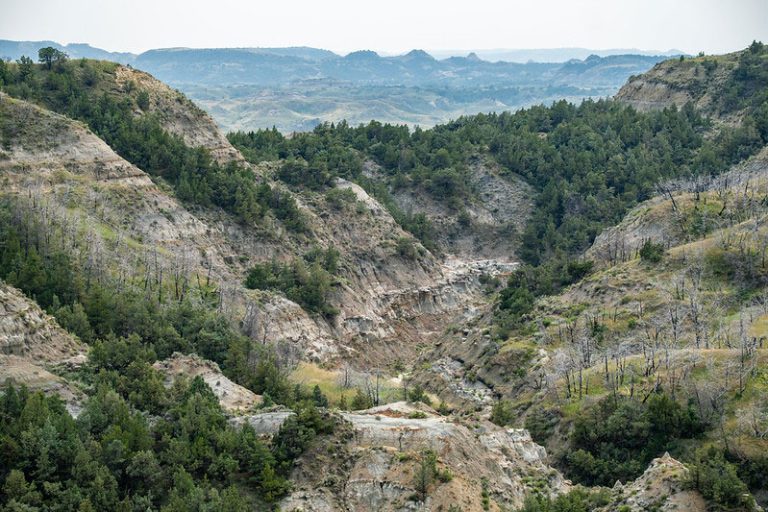25 Best & Fun Things To Do In Medora (ND) - The Tourist Checklist